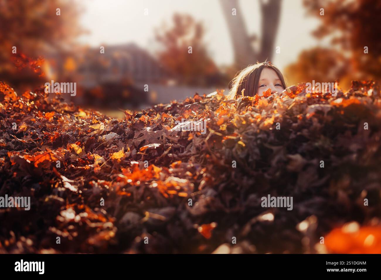 Girl peeking out of large leaf pile Stock Photo - Alamy