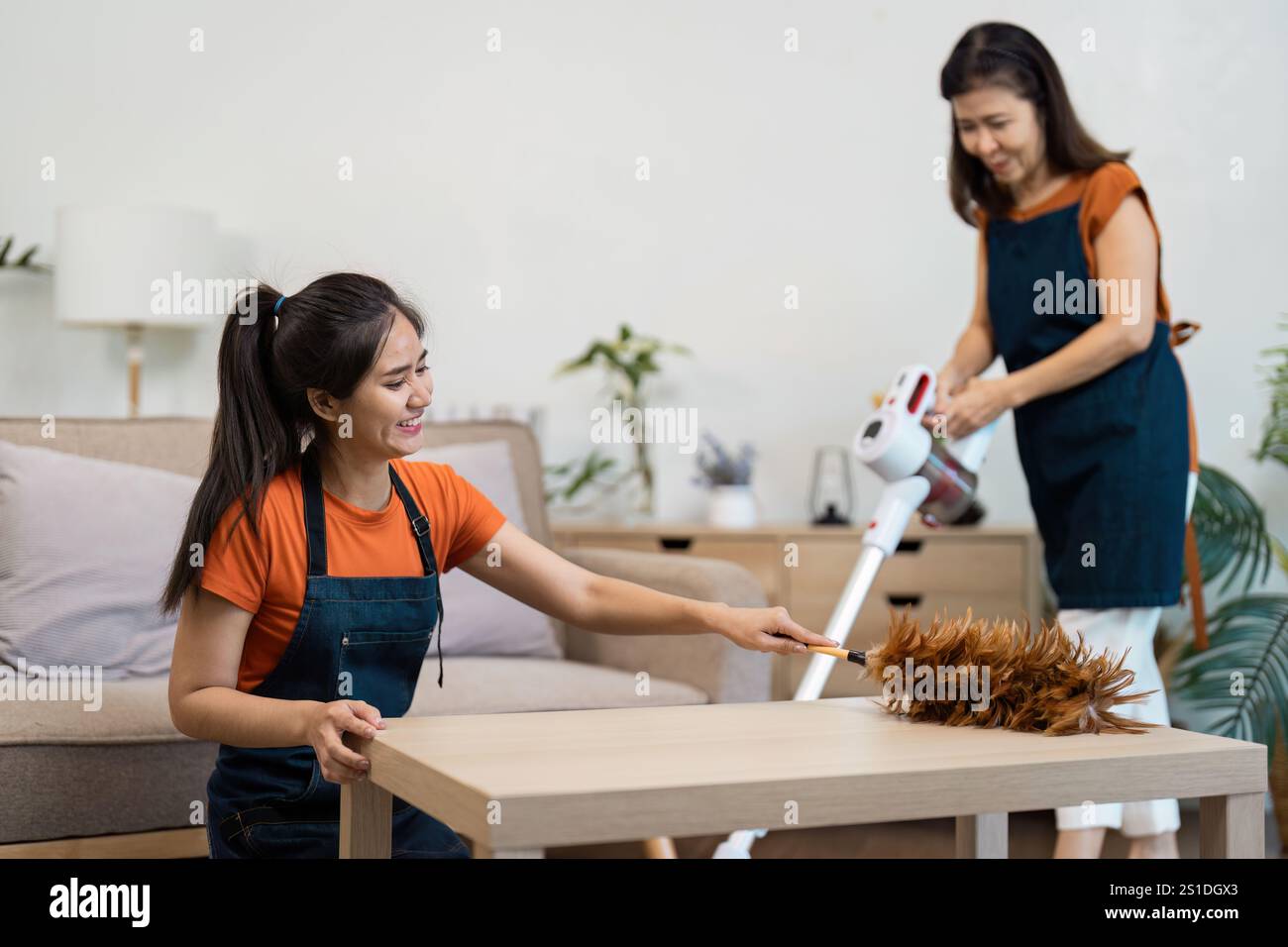 Professional Housekeeper Performing Cleaning Tasks in a Modern Home ...