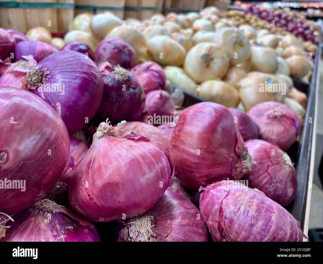 Row of red and yellow onions on display at a supermarket Stock Photo ...