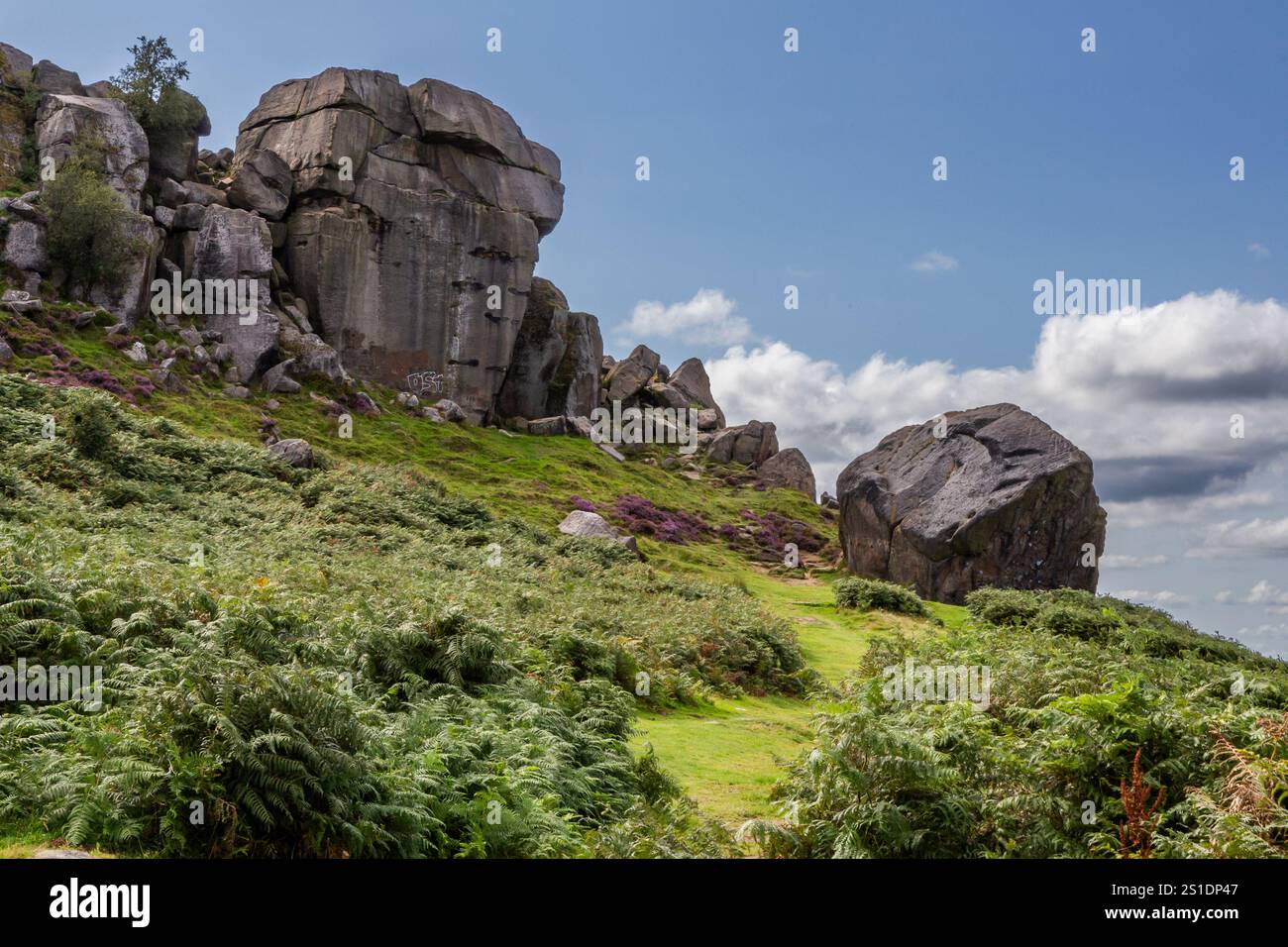 Cow and Calf rocks on the edge of Ilkley Moor, Yorkshire Stock Photo ...