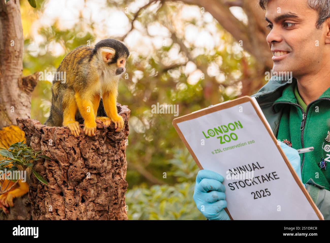 ZSL London Zoo, UK. 3rd January 2025. Zookeepers at ZSL London Zoo ...