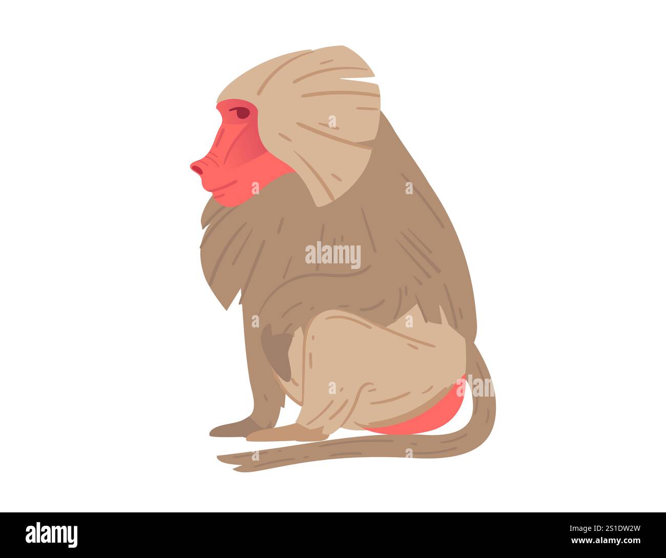 Side view of a cartoon baboon with distinctive red face and fur texture ...