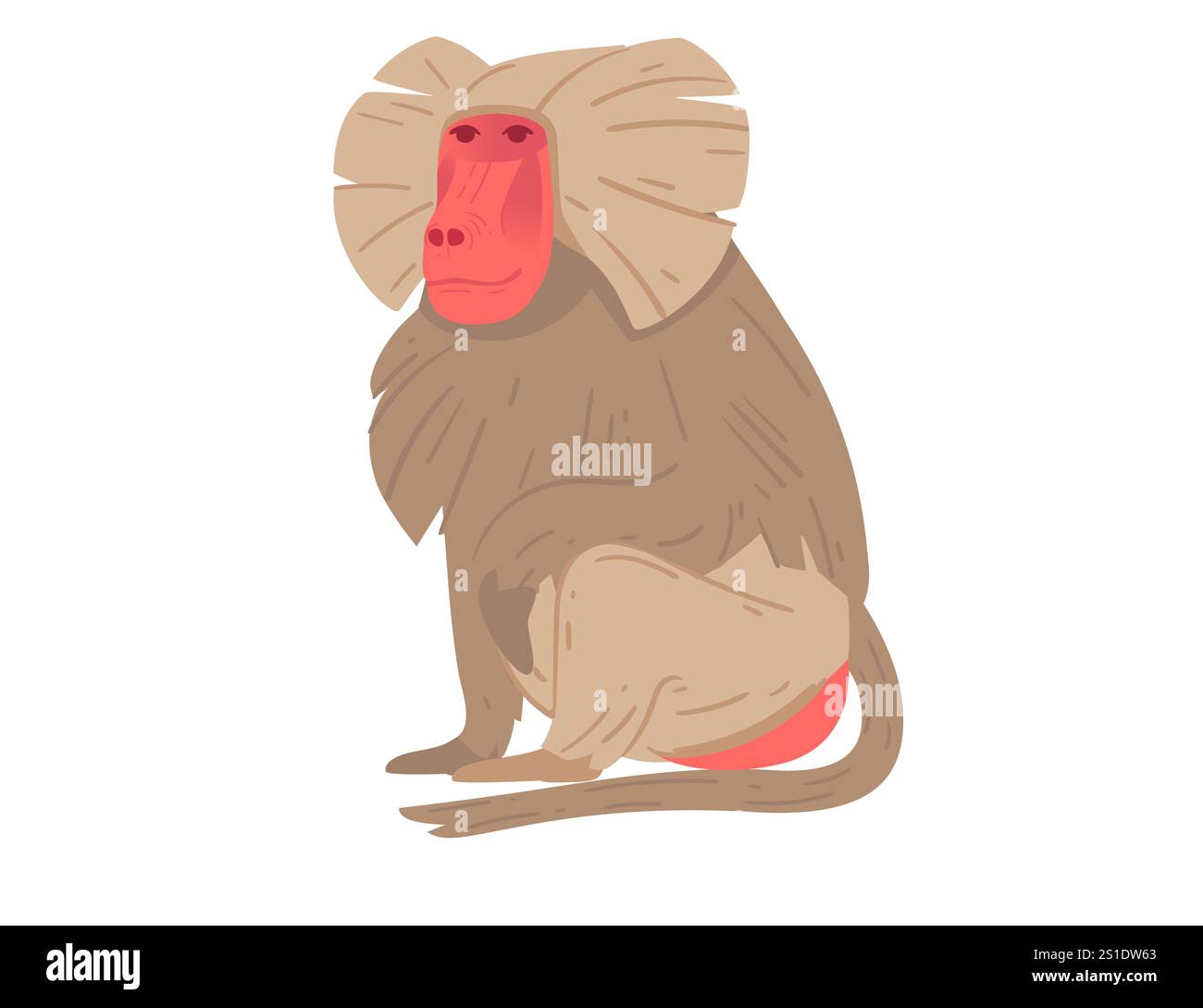 Front facing portrait young Stock Vector Images - Alamy