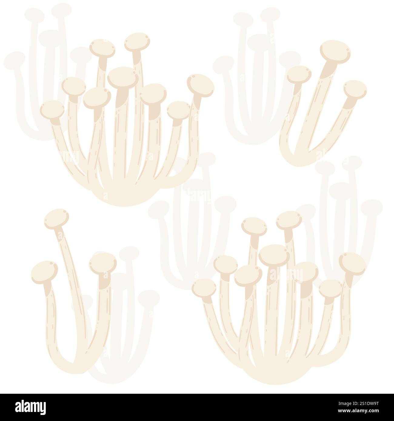 Supermarket fungi Stock Vector Images - Alamy