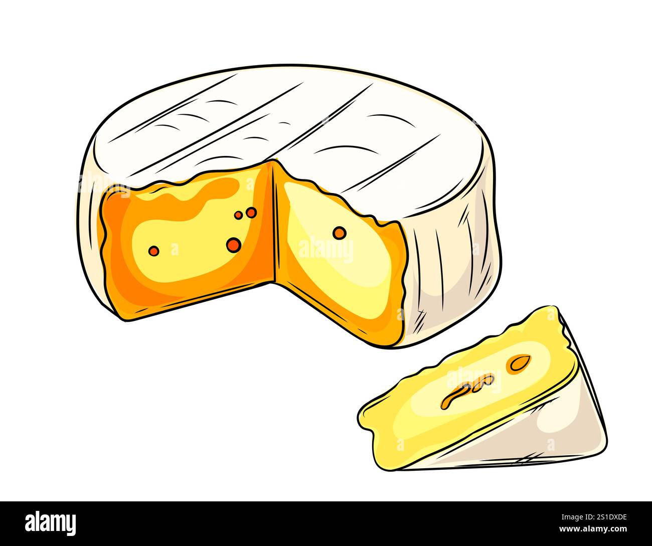 Piece of Brie cheese slice with holes. Hand drawn colorful sketch style ...