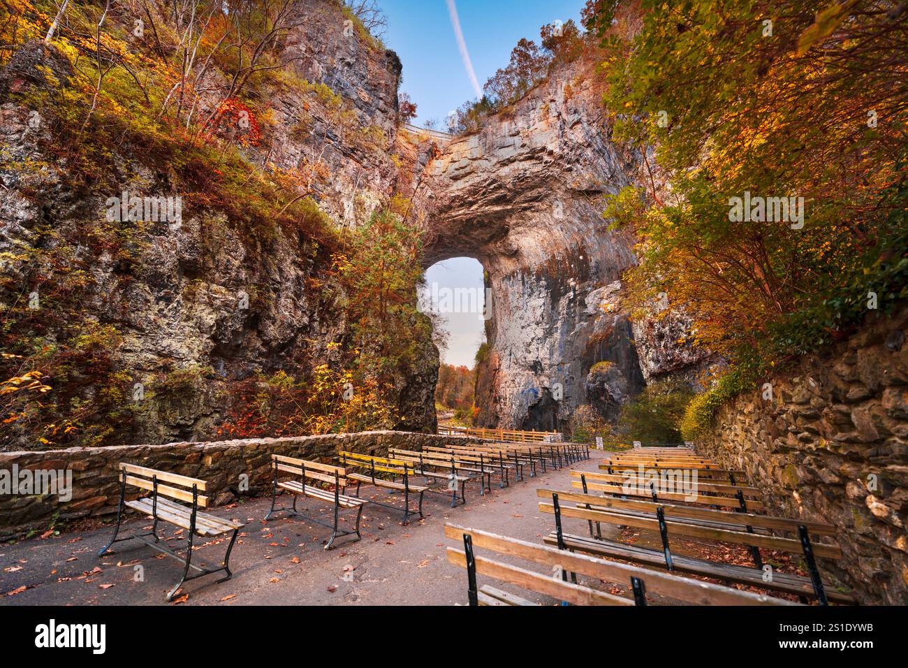 Beautiful bridge in autumn park hi-res stock photography and images - Alamy