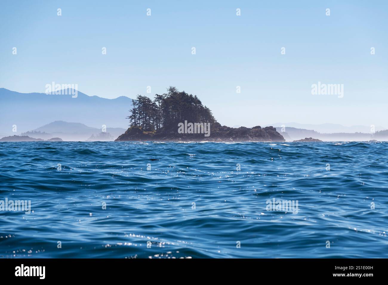 Pacific Ocean island with pine trees along whale watching tour, Tofino ...