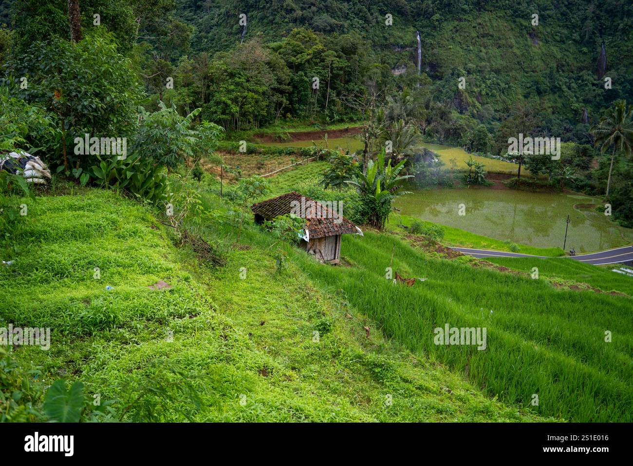 The beautiful of naringgul south cianjur west java indonesian Stock Photo - Alamy