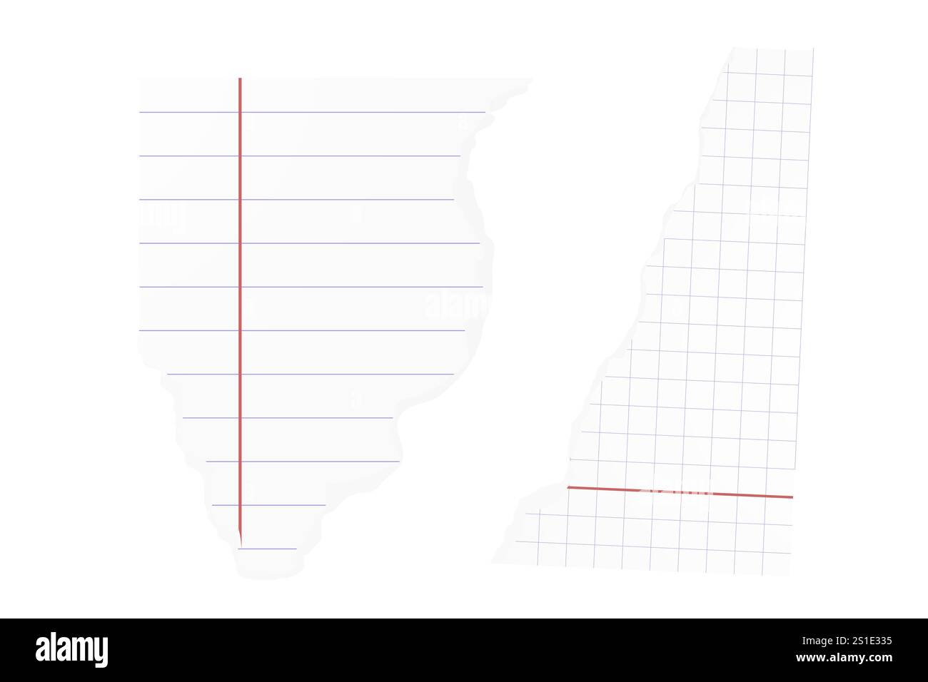 Vector realistic illustration , line and cell paper scrap, notebook ...