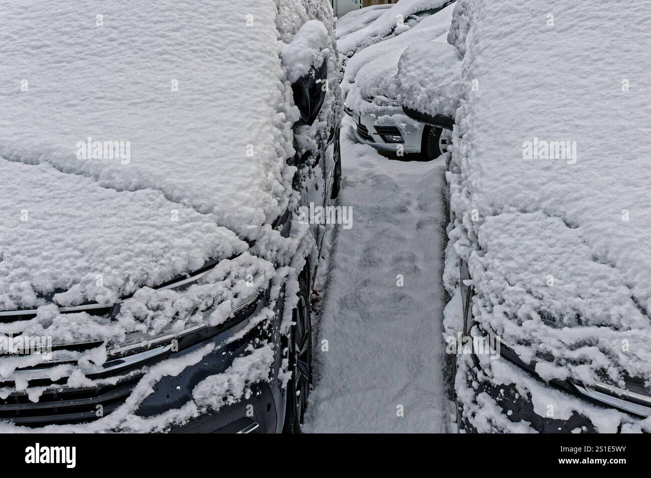 Wo ist mein Auto Eine dicke Schneedecke verhüllt die parkenden Autos ...