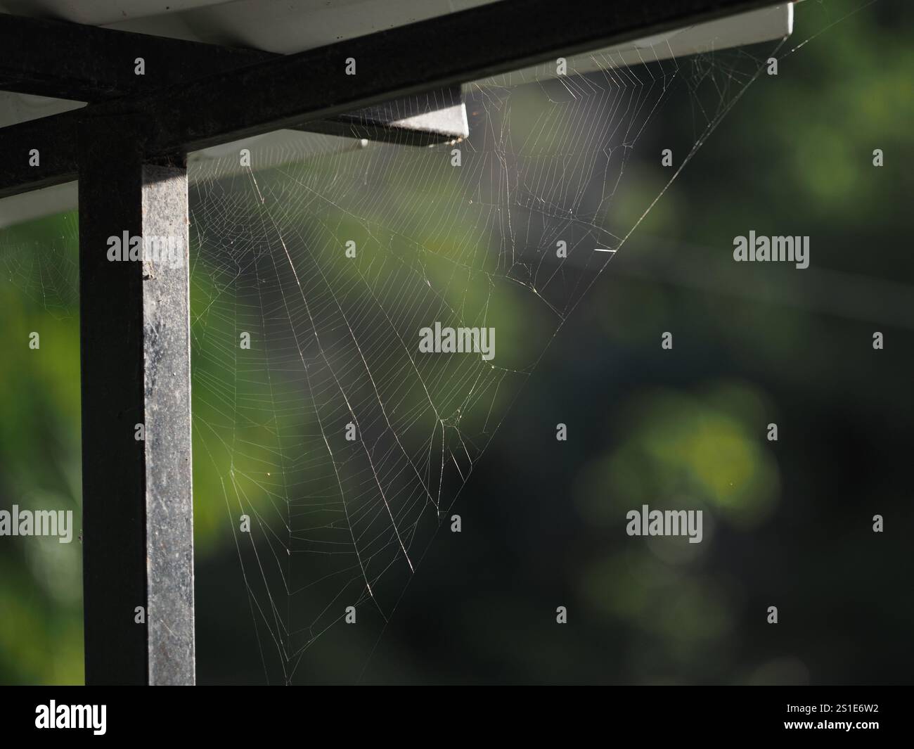 Spider web stretches between metal supports in the soft morning light ...