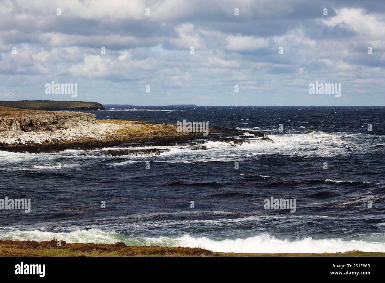 Carancho Cove, Bleaker Island, the Falkland Islands Stock Photo - Alamy