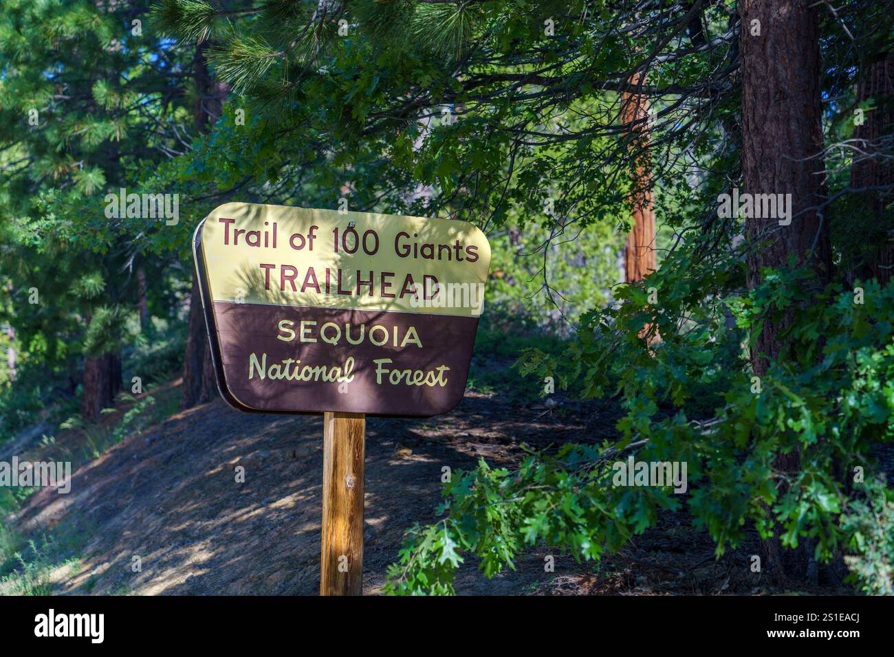 Wooden sign for Trail of 100 Giants trail path in Sequoia National ...
