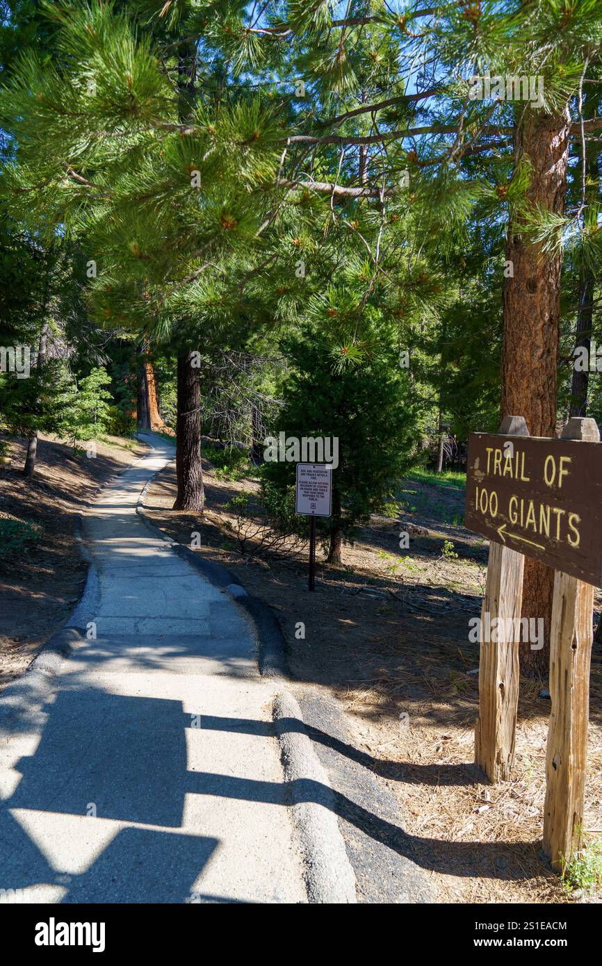 Trail path and wooden sign for Trail of 100 Giants in Sequoia National ...