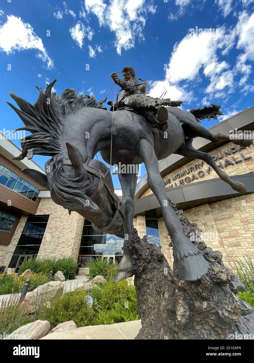 Wyoming Cowboy by Chris Navarro, University of Wyoming Laramie, Wyoming ...