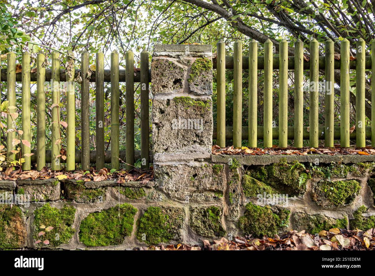 Wooden fence with old mossy stone wall and pillars Stock Photo - Alamy