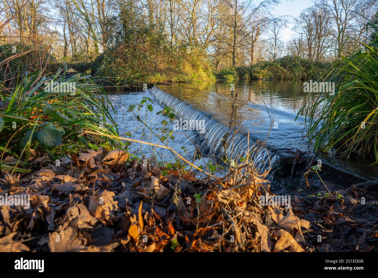 3 Jan 2025. Morden Hall Park, a green space in the London suburbs with the river Wandle chalk ...