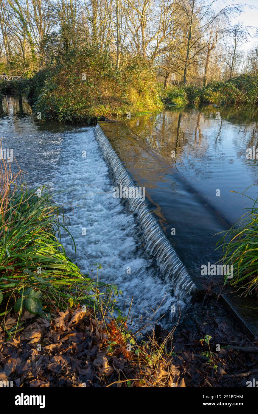 3 Jan 2025. Morden Hall Park, a green space in the London suburbs with ...
