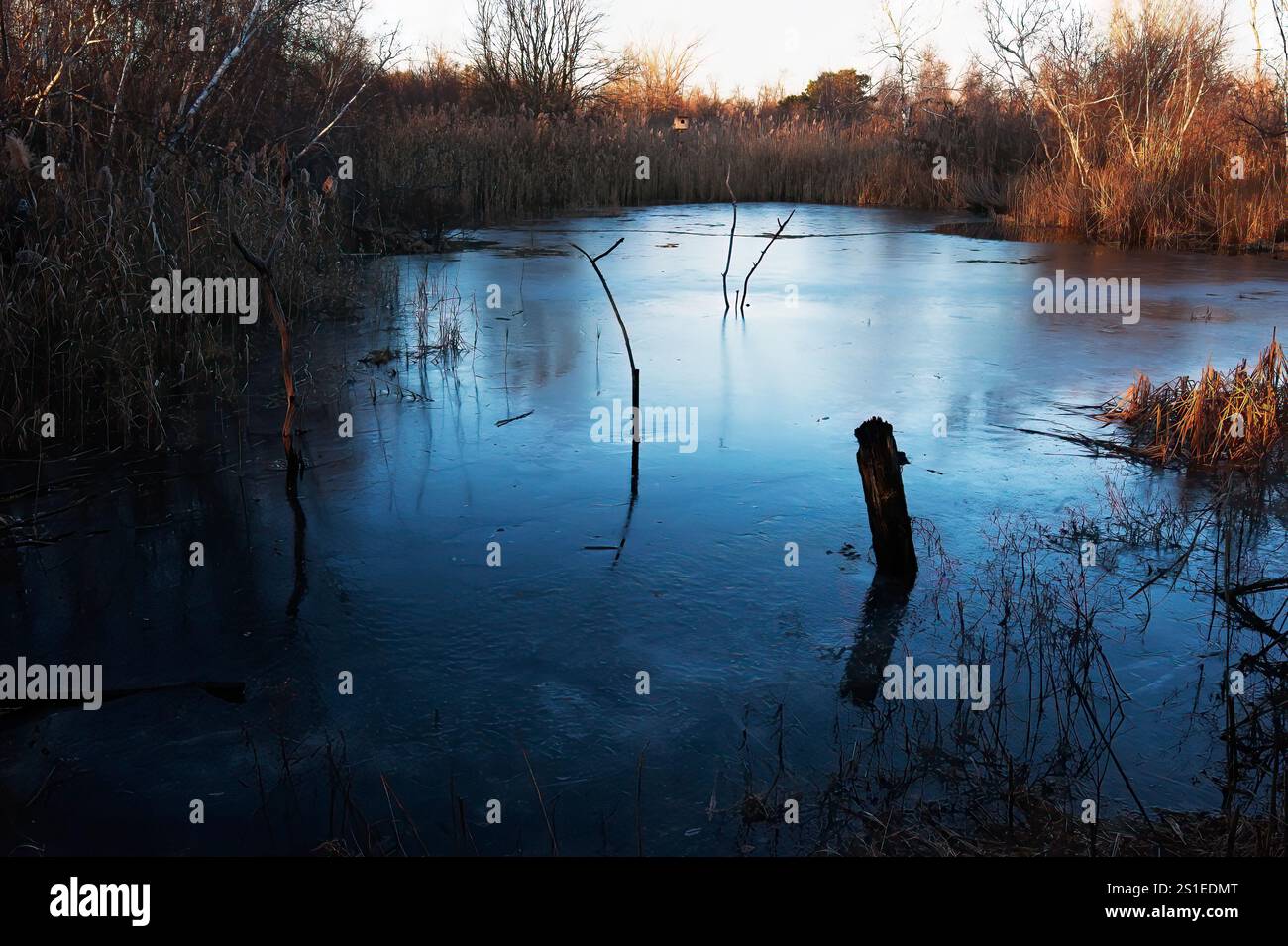 Frozen fresh-water pond in winter Stock Photo - Alamy