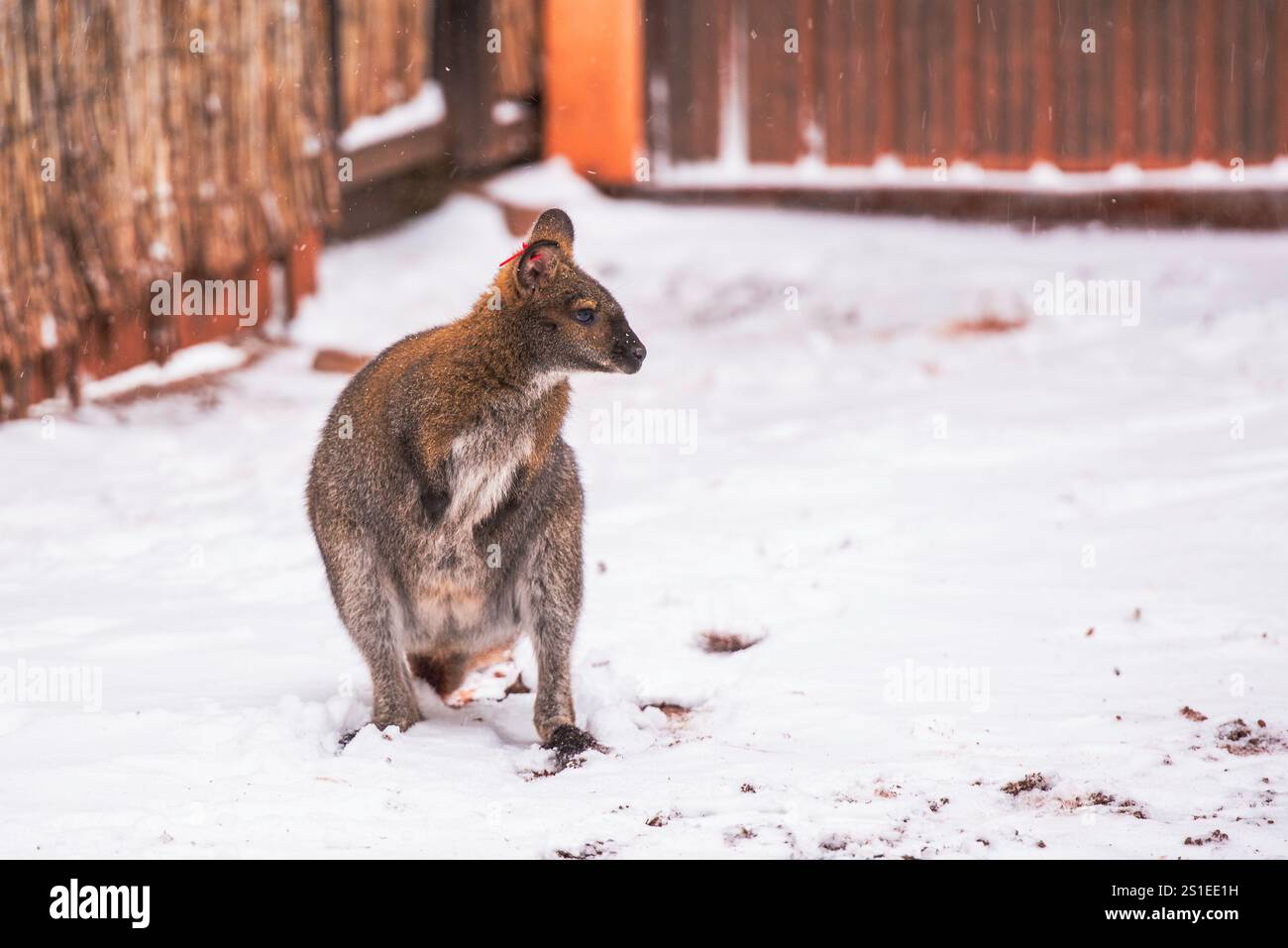 Jan 2 2025 hi-res stock photography and images - Alamy