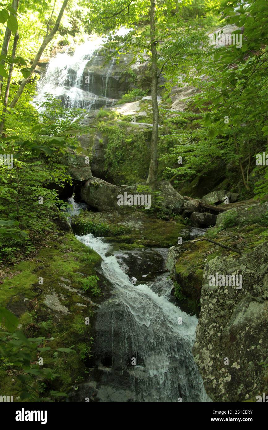 Beautiful fresh creek water cascading over rocks. Section of the ...