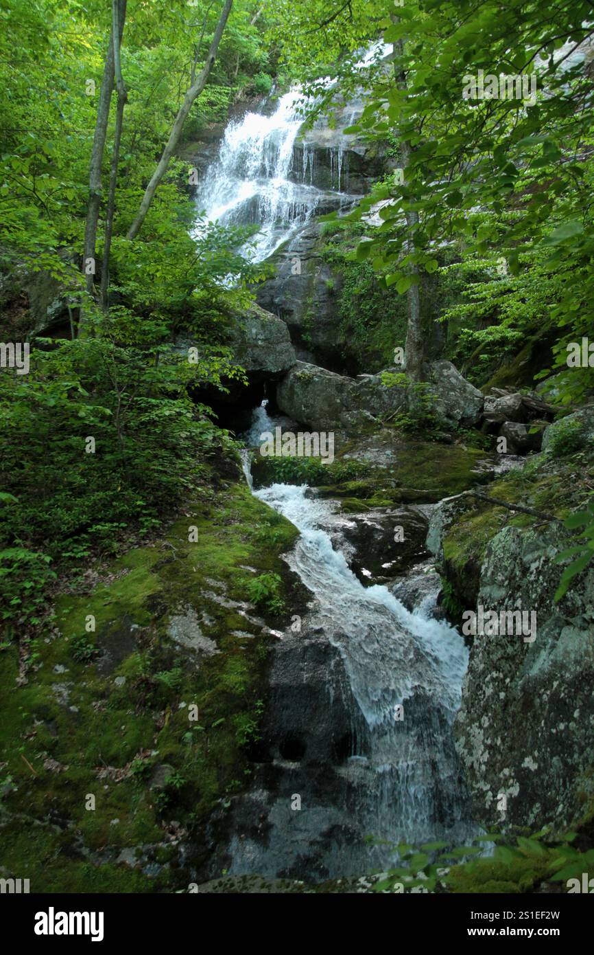 Beautiful fresh creek water cascading over rocks. Section of the ...
