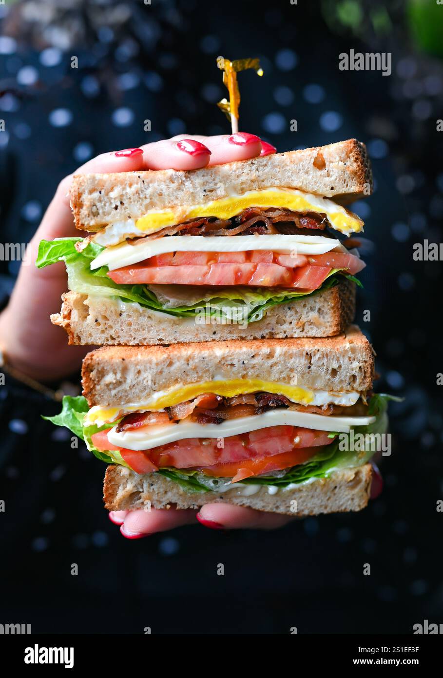 Sandwich, Breakfast Sandwich Stock Photo - Alamy