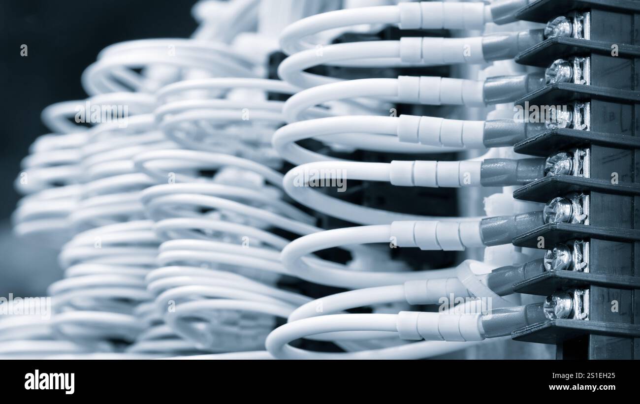 network cables connected to a switch, network internet communication ...