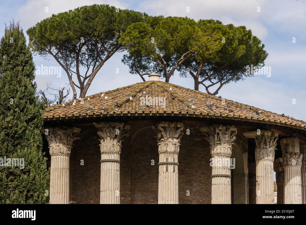 Rome, Italy - February 12, 2013: emple of Hercules Victor with pigeons ...