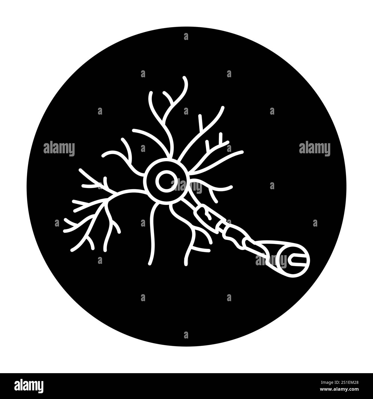 Multiple sclerosis Black and White Stock Photos & Images - Alamy