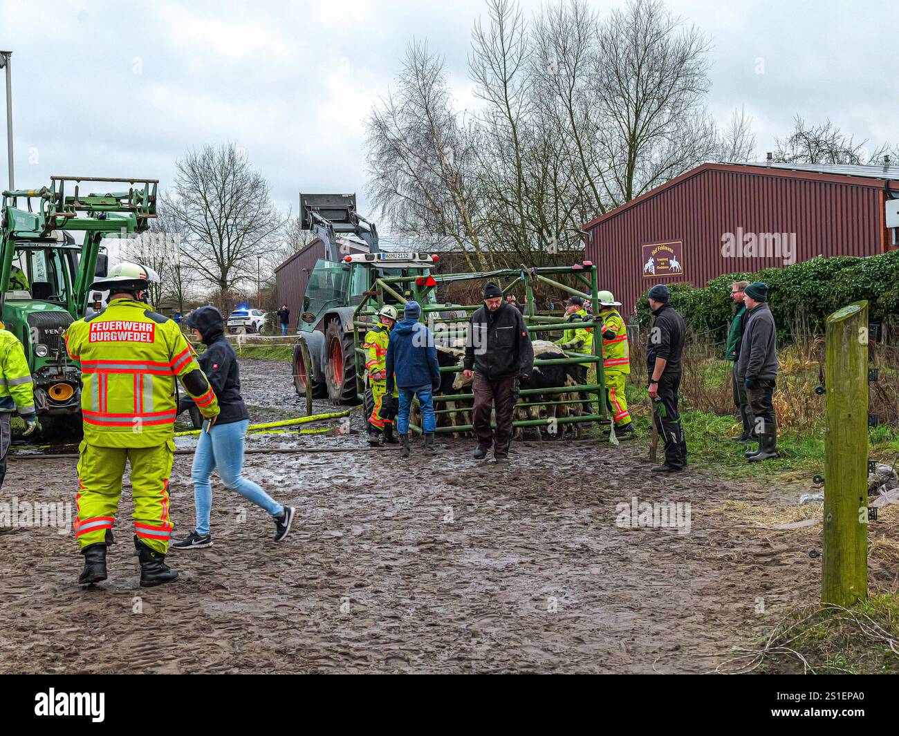 Scheune in Thönse in Vollbrand Großbrand einer Scheune in Ortsteil Burgwedel - Thönse. Das Vieh ...