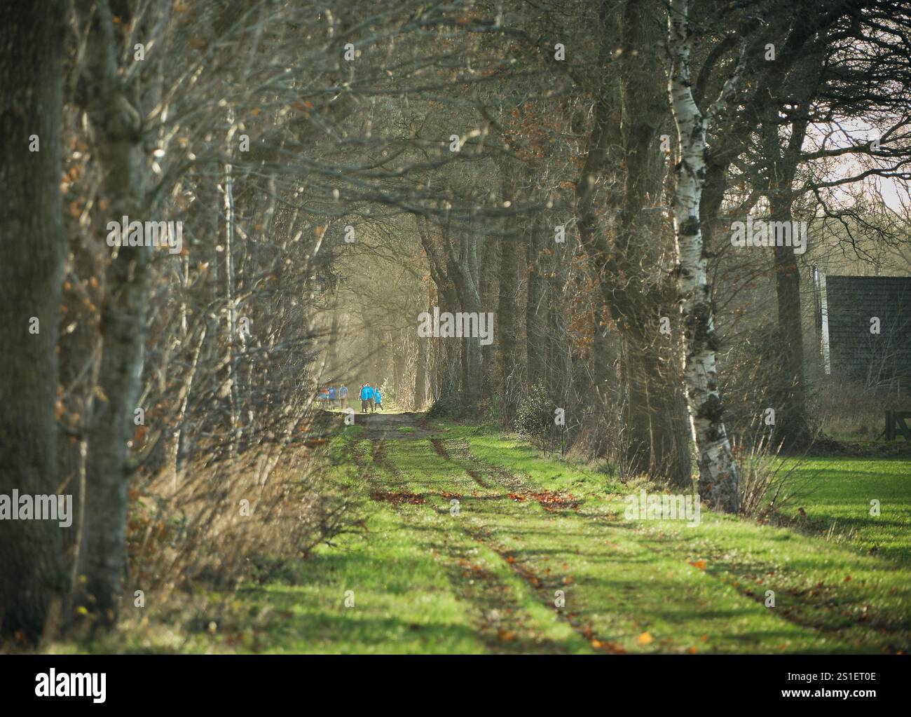 A group of klootschieters playing a traditional Dutch ball game on a ...