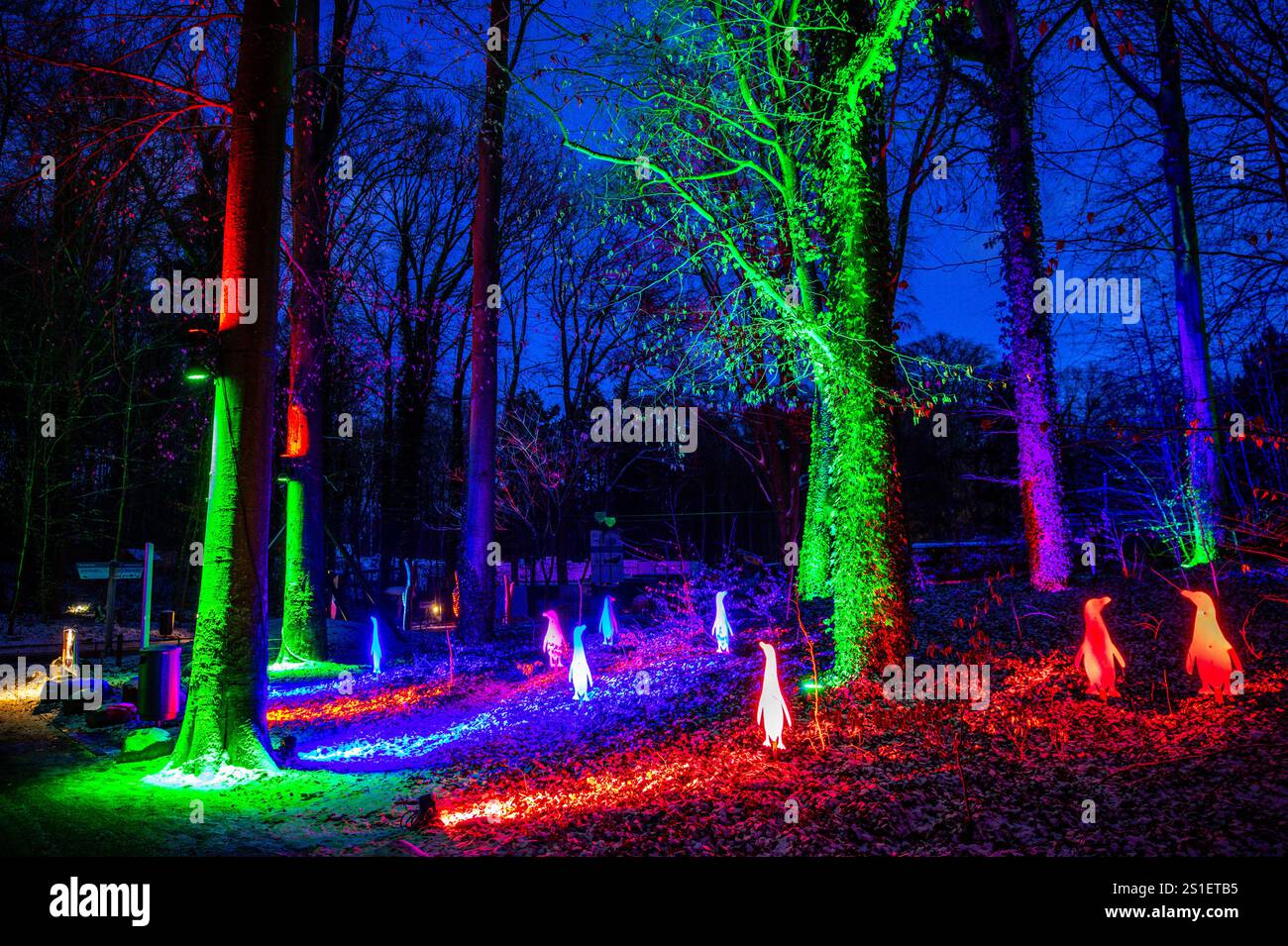 Rostock, Germany. 03rd Jan, 2025. Colorfully illuminated penguins are ...