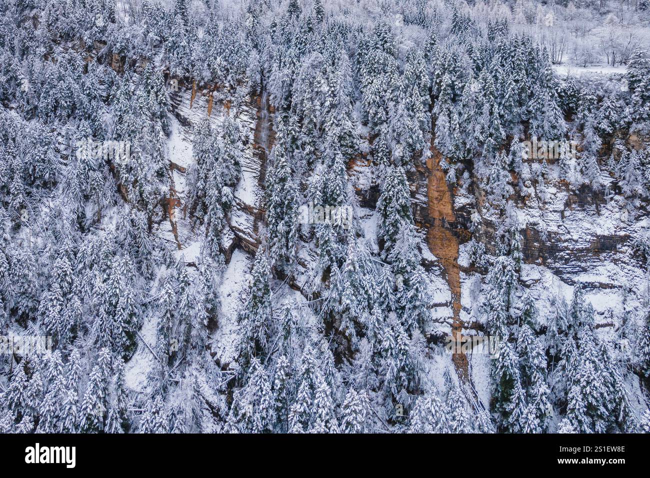 Aerial view of cliffs in Champsaur Valley with snow covered larch trees ...