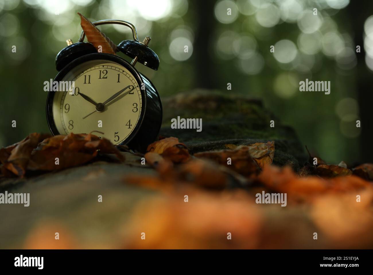 Alarm clock on fallen dry leaves and stones outdoors, closeup. Space ...