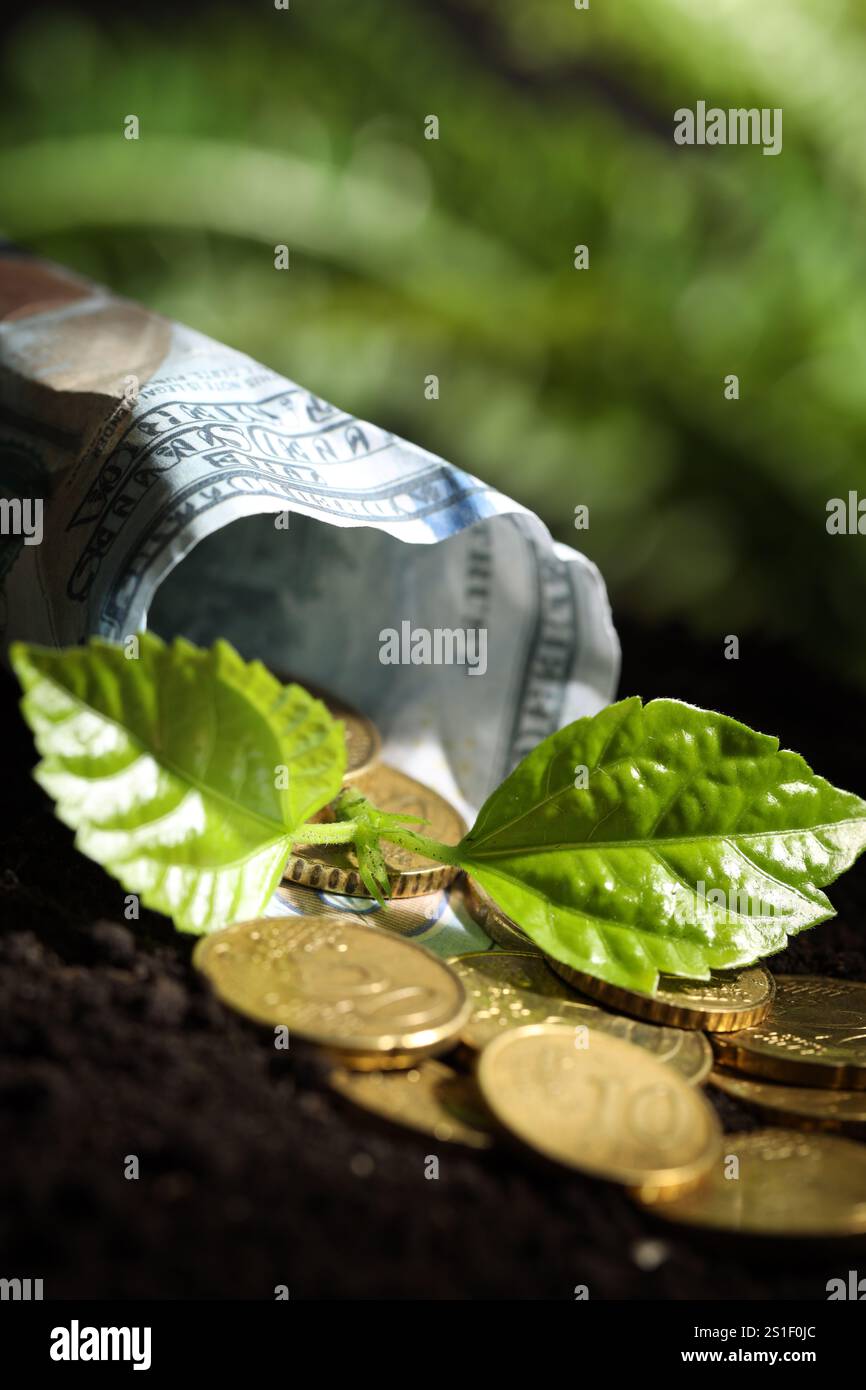Money growth concept. Coins, dollar banknote and sprout in soil ...