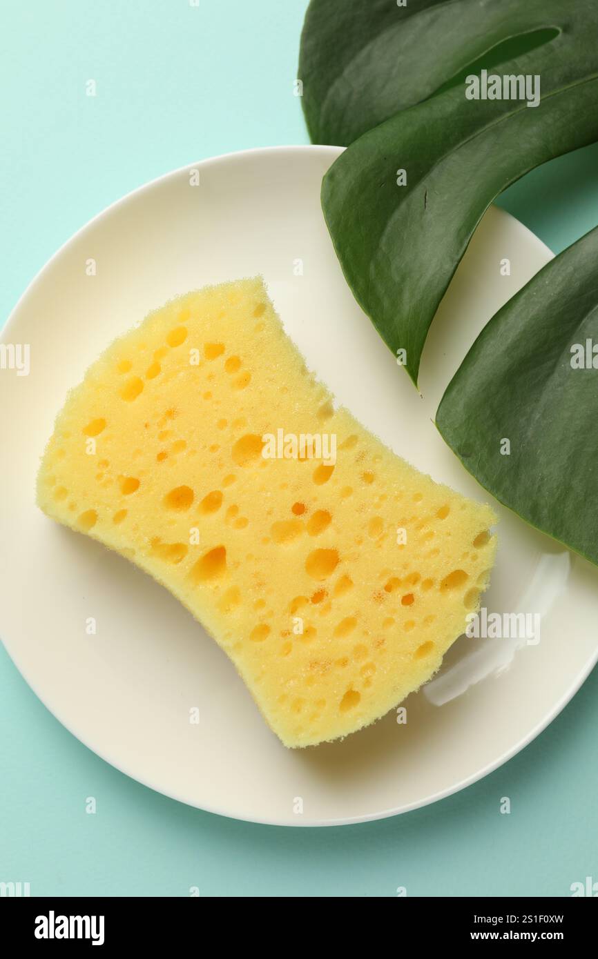 One sponge, plate and monstera leaf on light blue background, top view ...