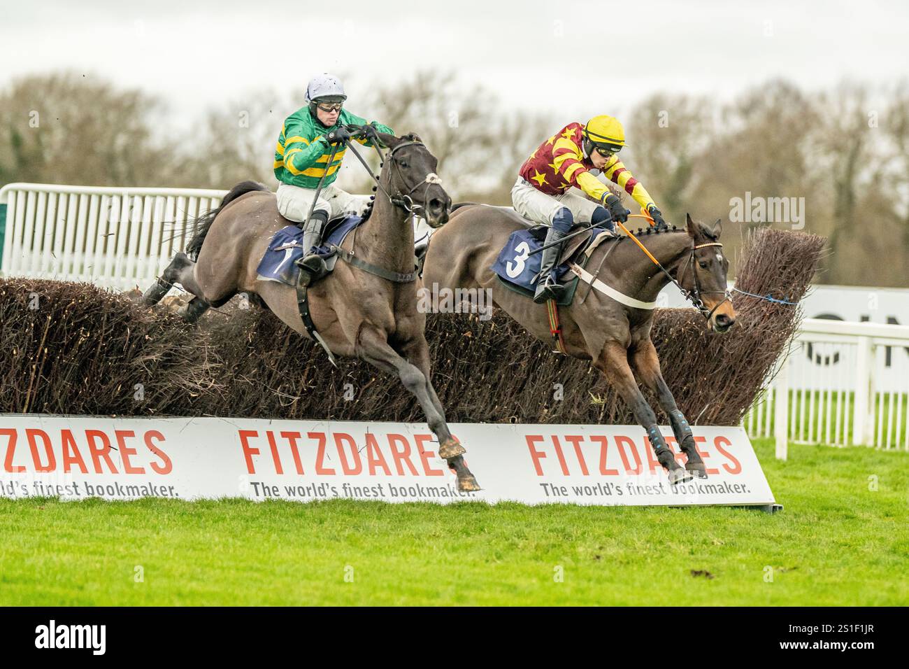 Image from Royal Windsor Racecourse of Jumps Horse Racing on the 15th ...