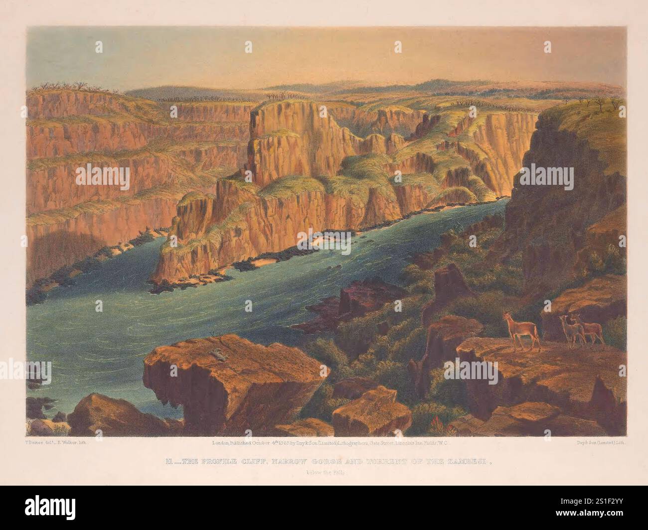 "The Profile Cliff, Narrom Gorge and Torrent of the Zambesi, below the ...
