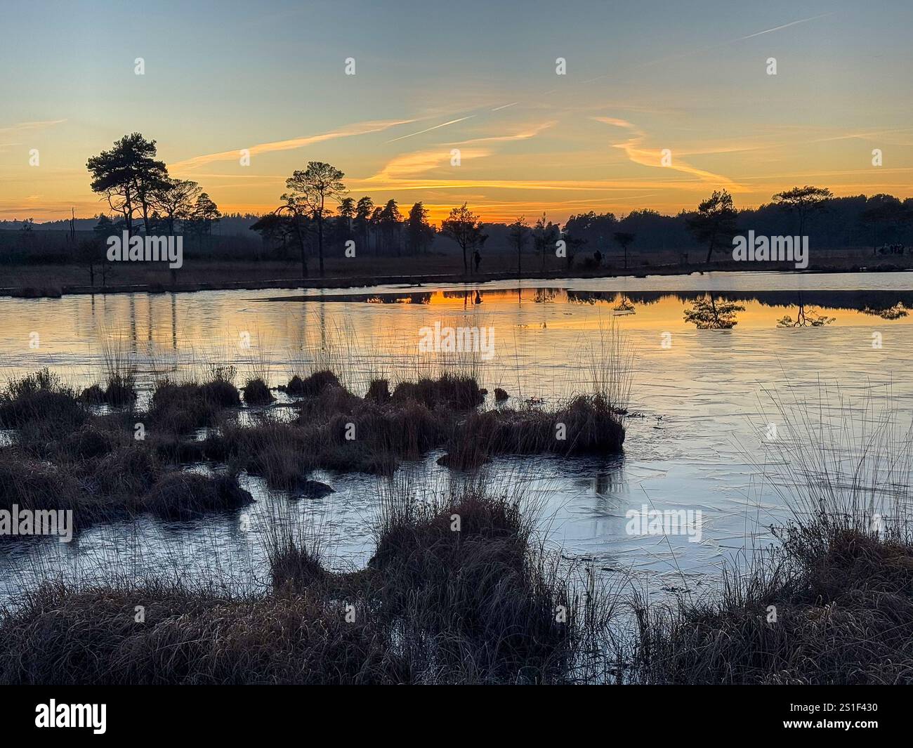 Godalming, UK. 03rd Jan, 2025. Thursley Common, Elstead. 03rd January ...