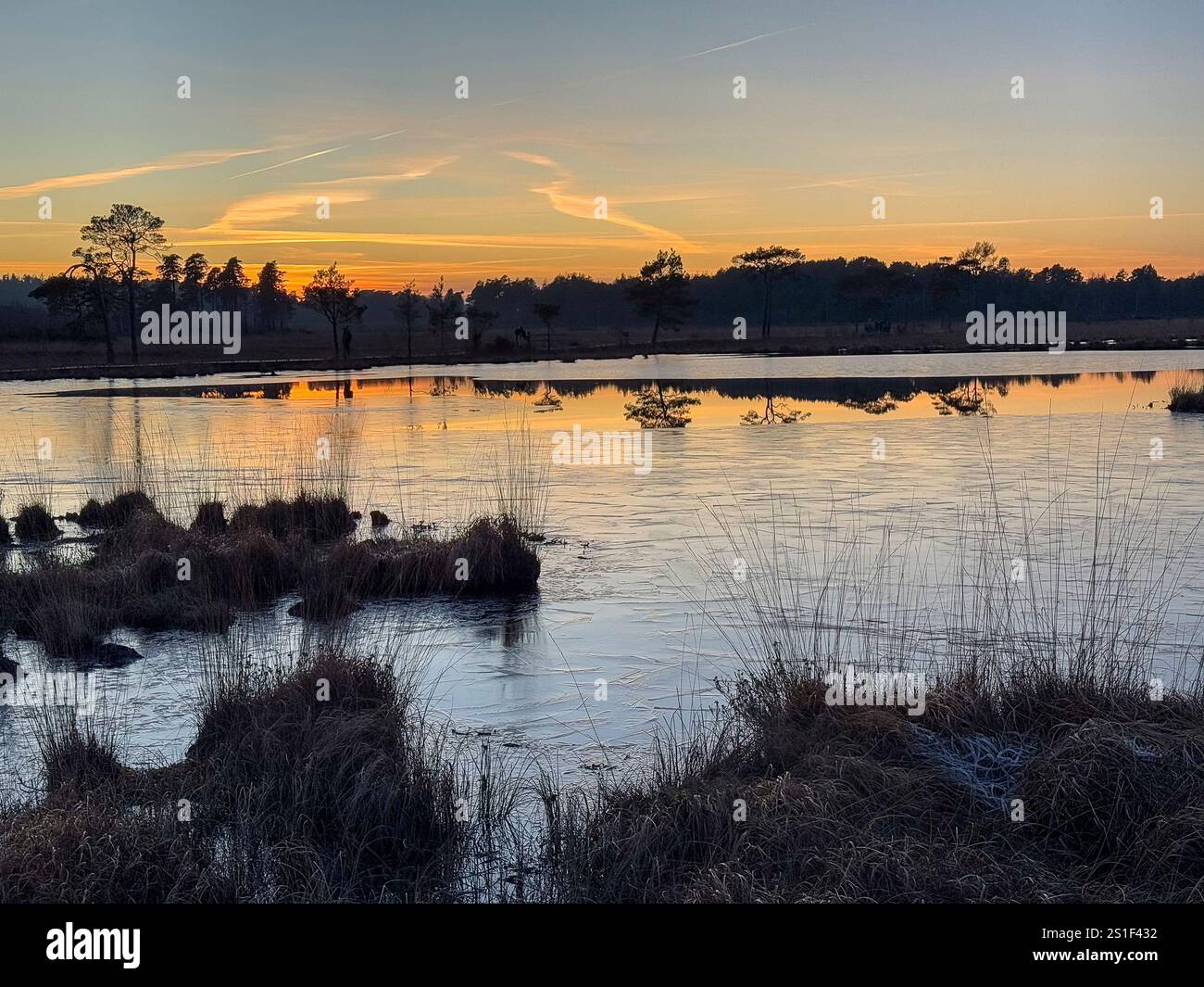 Godalming, UK. 03rd Jan, 2025. Thursley Common, Elstead. 03rd January ...