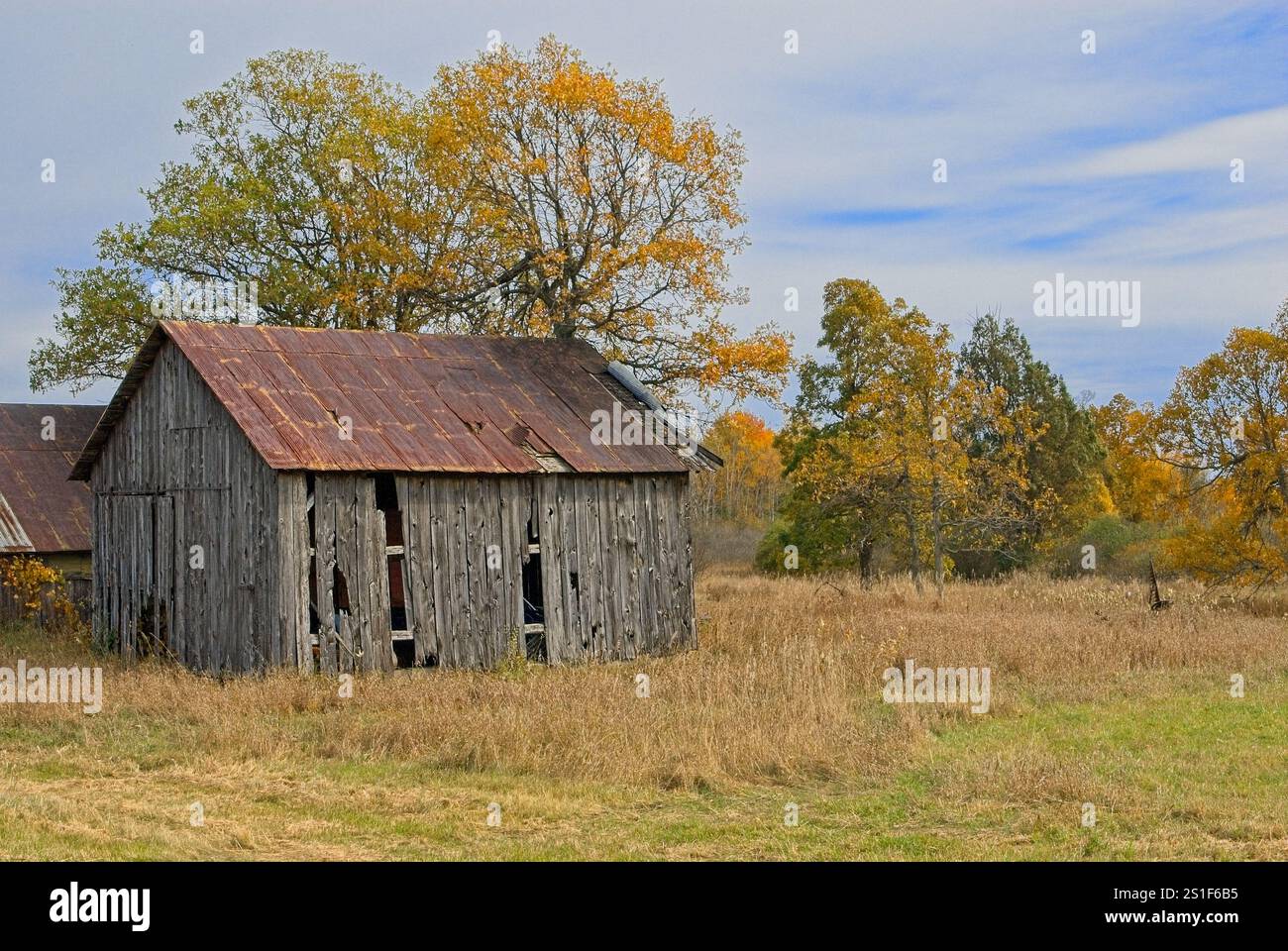 Weathered old barn with vertical wood planks and metal roof in thousand ...