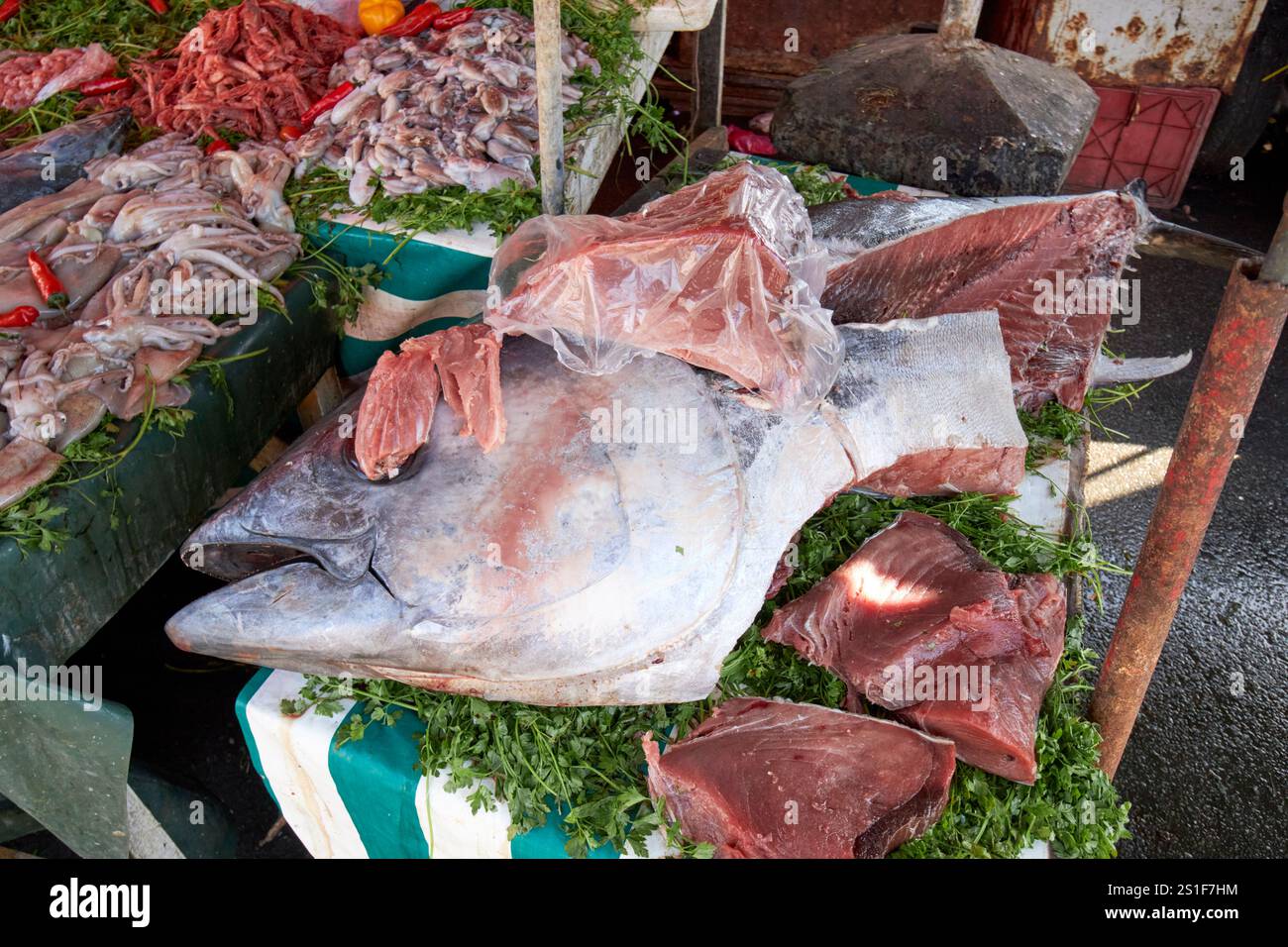 large tuna and selection of fresh fish being sold from a stall off the ...