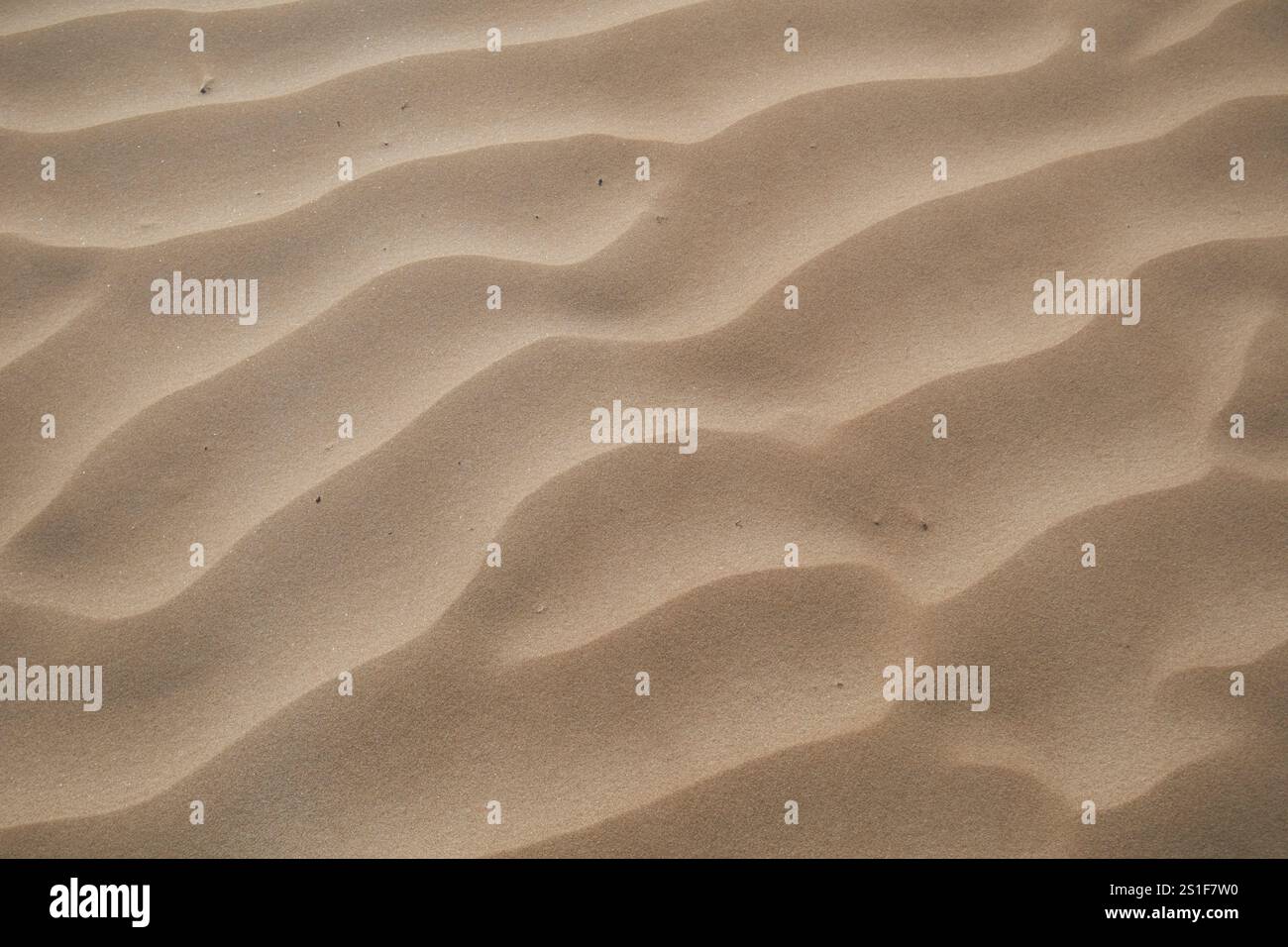 wind blowing sand ripples on windy essaouira beach , morocco Stock ...