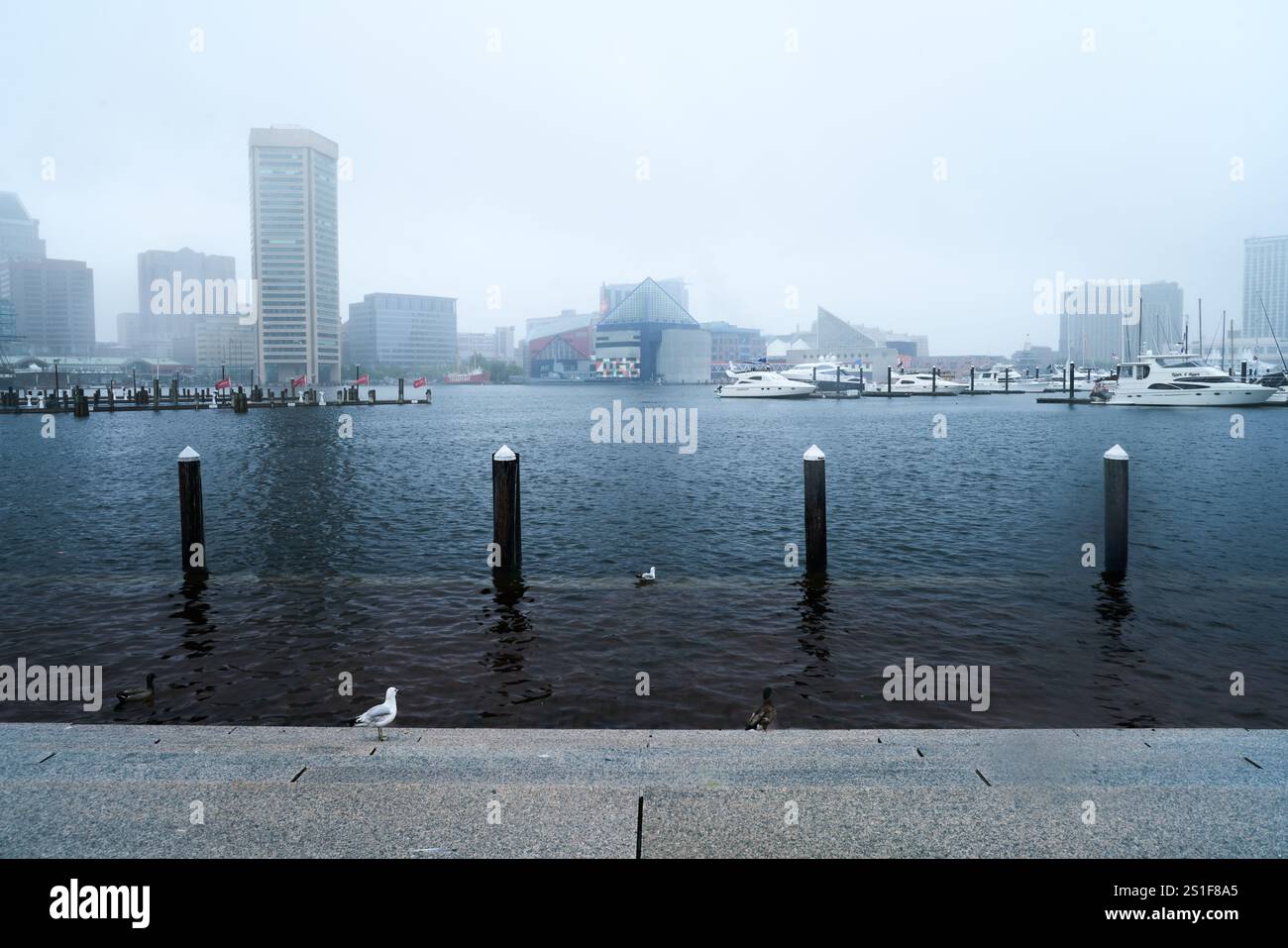 Baltimores waterfront architecture hi-res stock photography and images ...