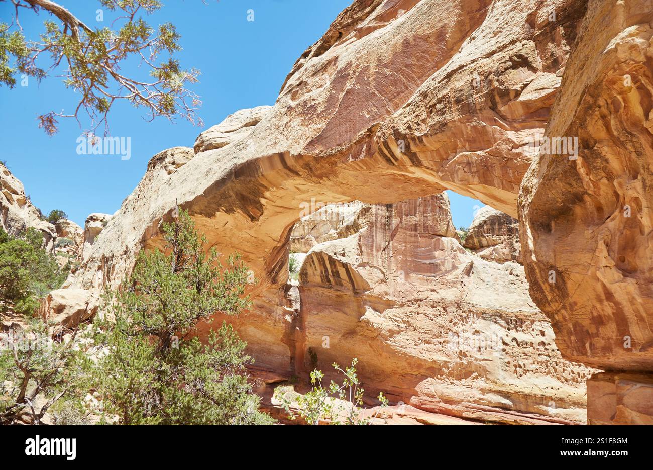 The hike to Hickman Bridge and Navajo Knobs is arguably Capitol Reef ...