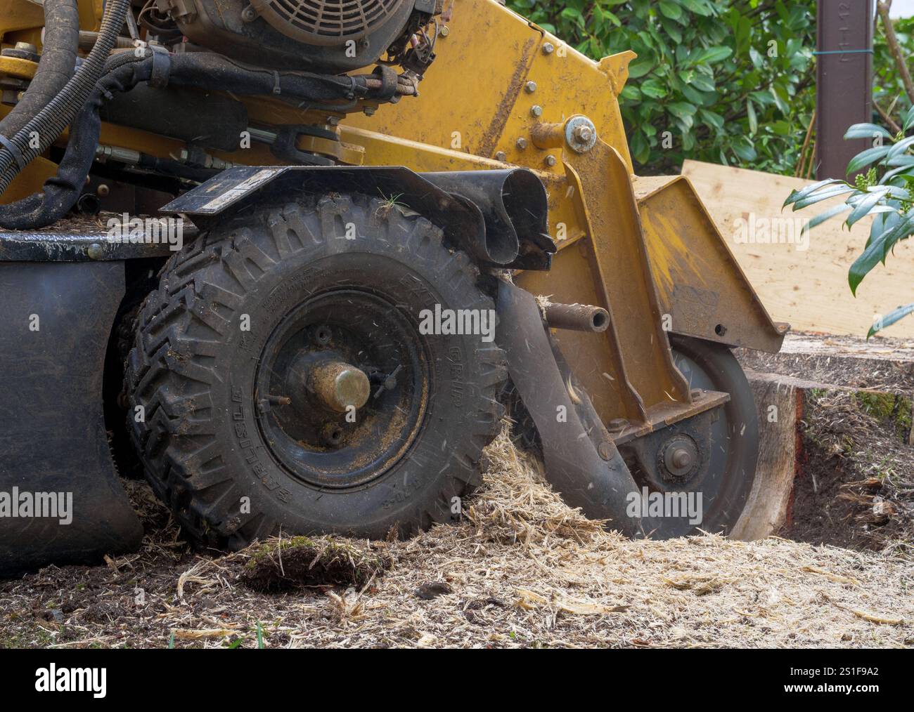 Stump grinder for tree stump removal, Tutzing, Bavaria, Germany Stock ...