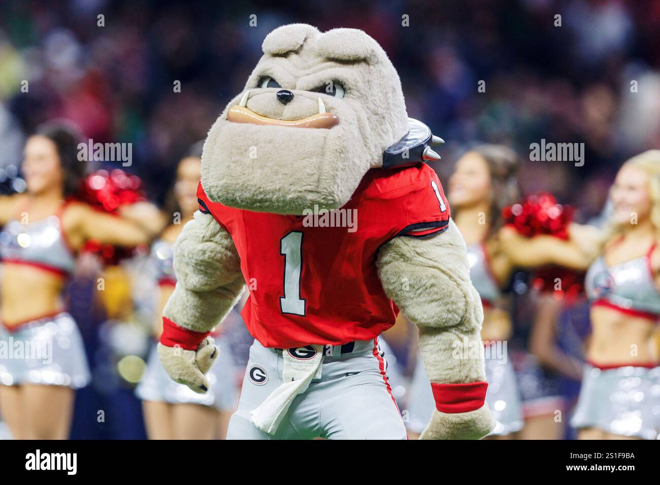 NEW ORLEANS, LA - JANUARY 02: Georgia mascot "Harry Dawg" before the ...