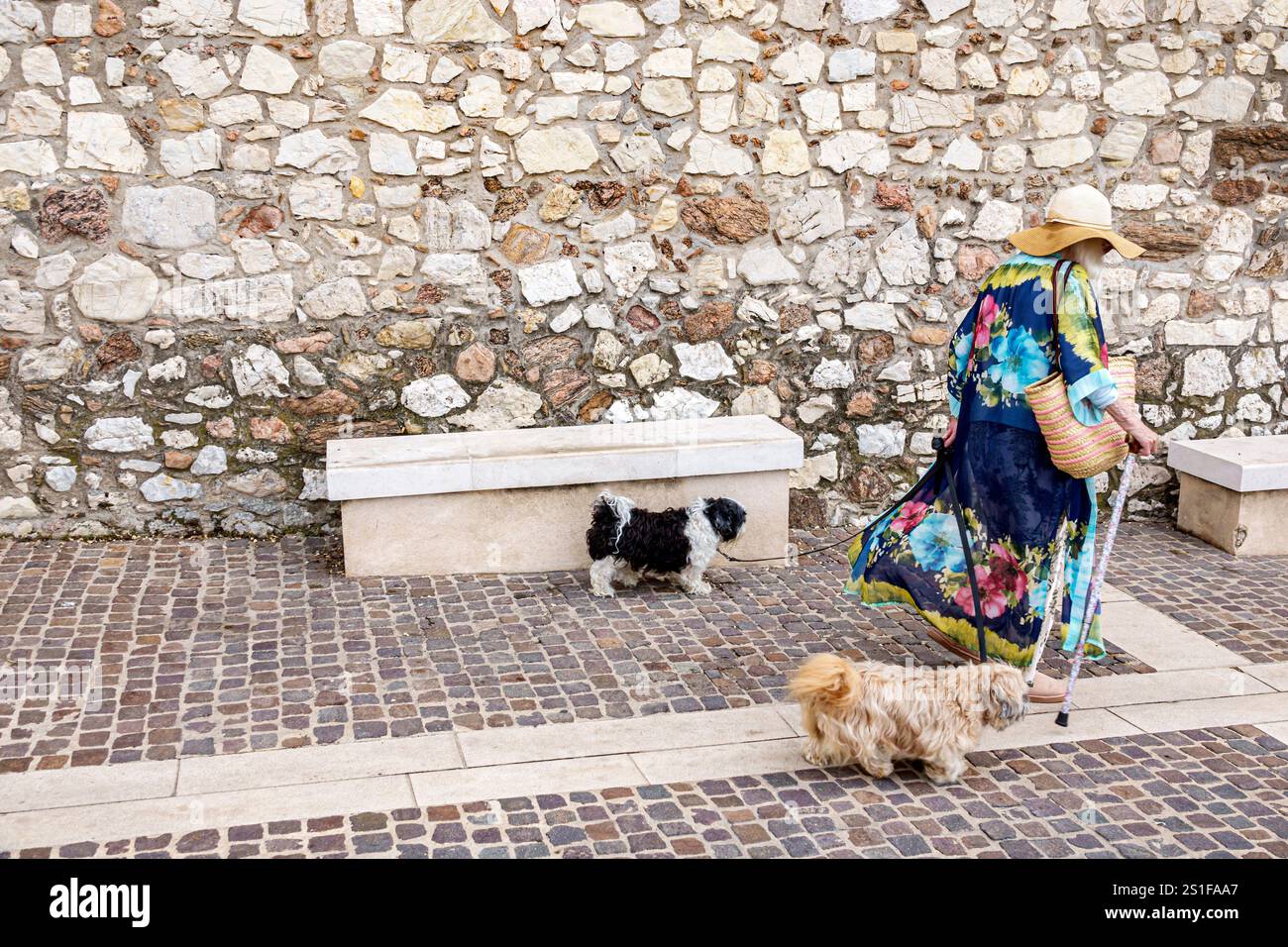 Woman resident using cane hi-res stock photography and images - Alamy