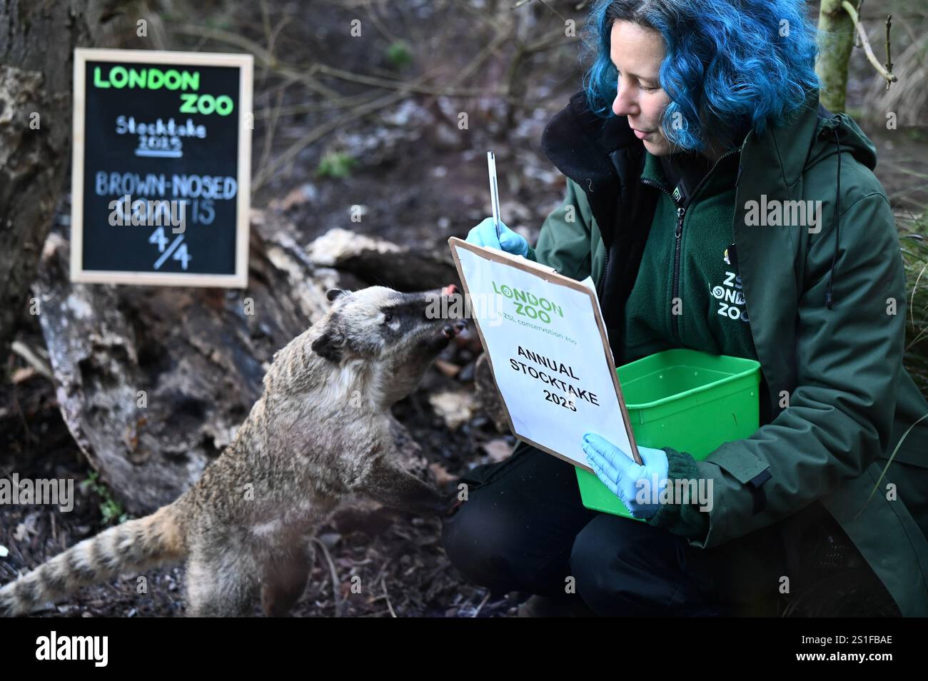 Today (3 Jan 2025), zookeepers at London Zoo readied their clipboards ...